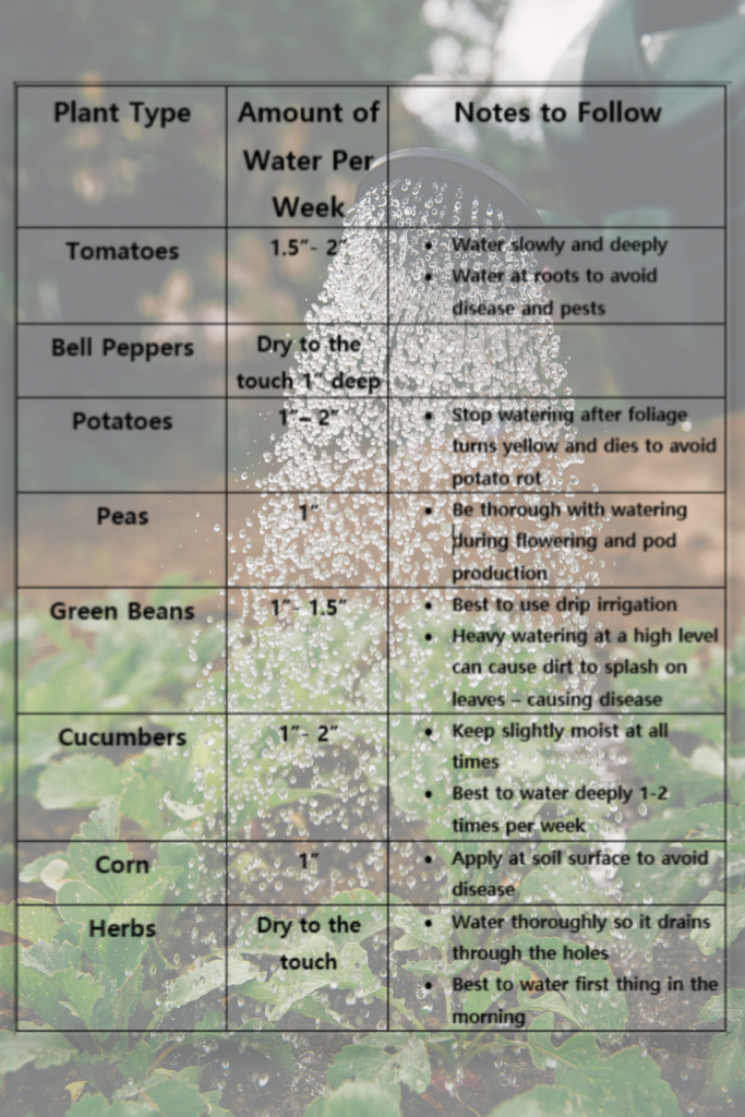 What I'm Gardening This Week: Watering Schedule ⋆ Growing Up Kemper